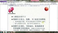 果农乐第3期大棚果树栽培技术1