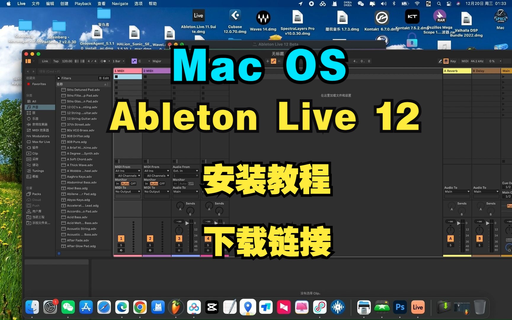 苹果系统 Mac Ableton Live 12 bate 原厂安装包以及安装教程 支持 Win/...