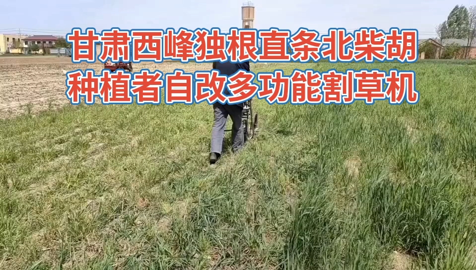 甘肃西峰独根直条北柴胡种植者自改多功能割草机快捷方便实用性强
