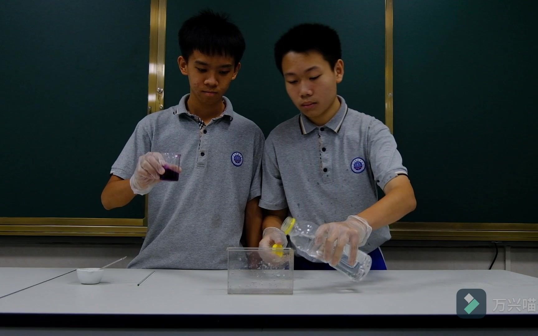 广东华侨中学参赛作品——消毒剂高锰酸钾的妙用