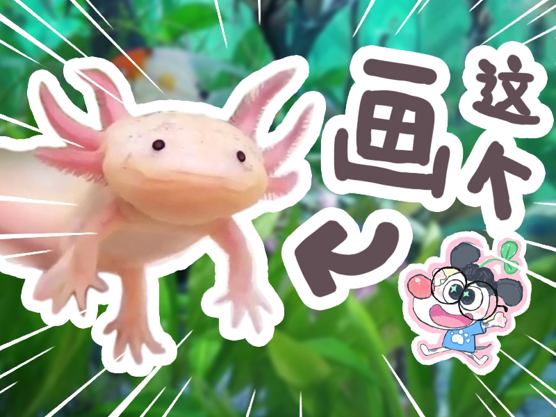 【第七弹】挑战画100只冷门奇妙小动物