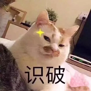 百万向日葵清晨猛回头 