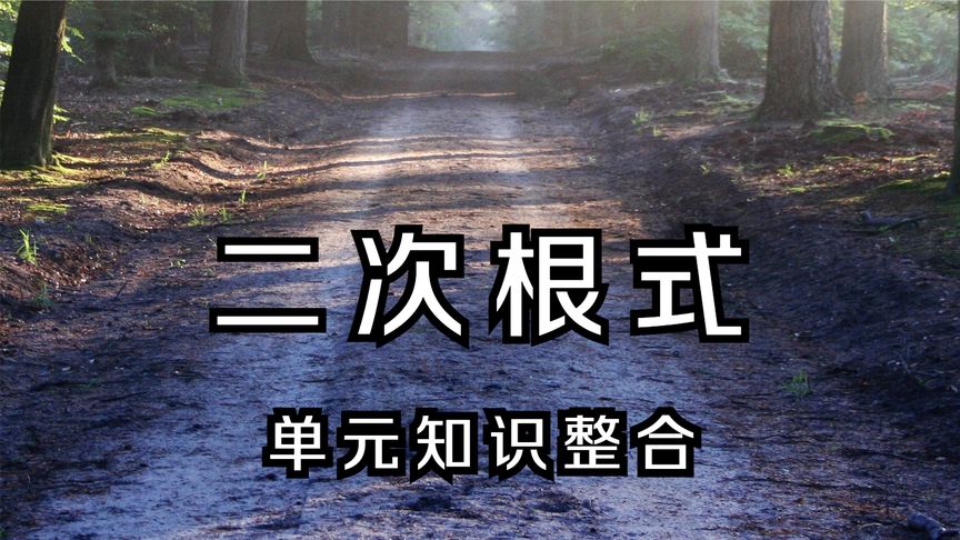 初中数学,《二次根式》单元知识整合