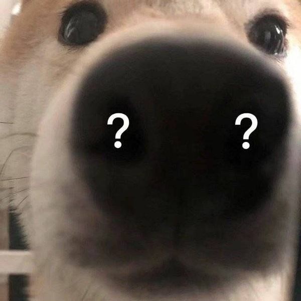 4毒士 