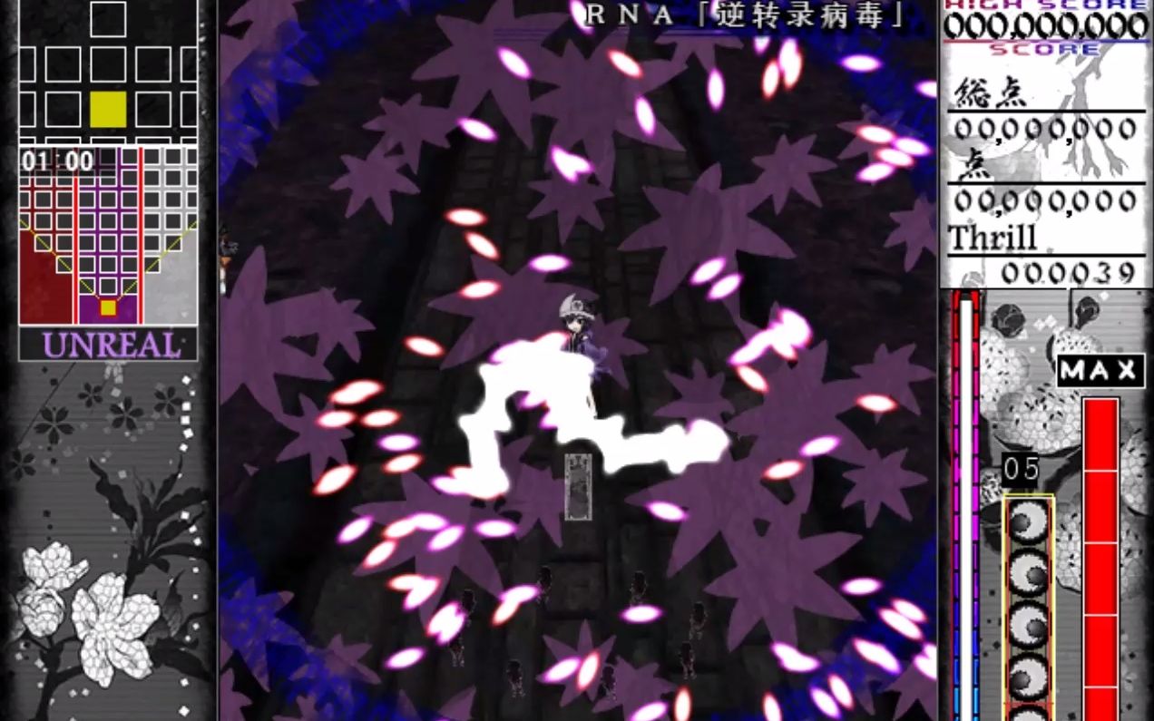 炸鸡RNA逆转录病毒大回环