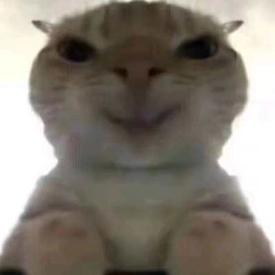 一个SFS区的小白 