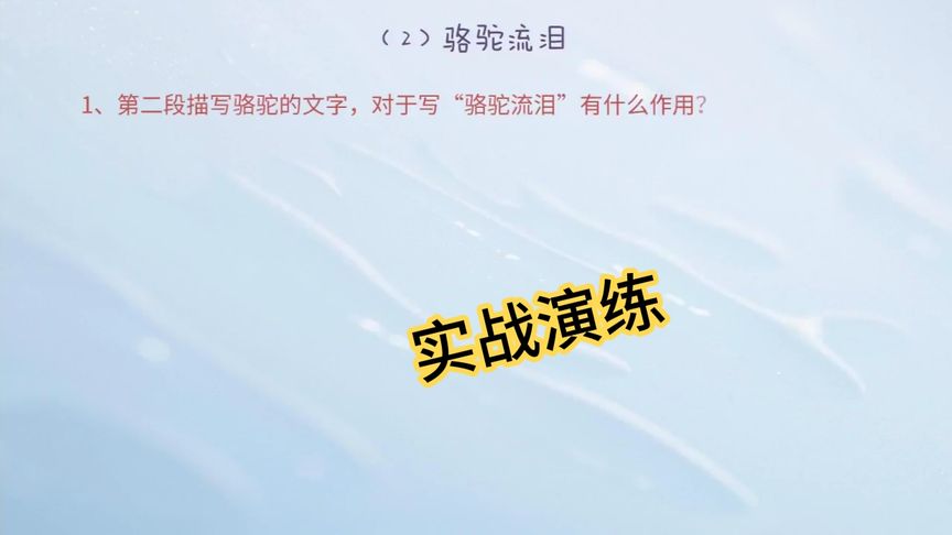 4-4满分阅读~如何分析段落作用?