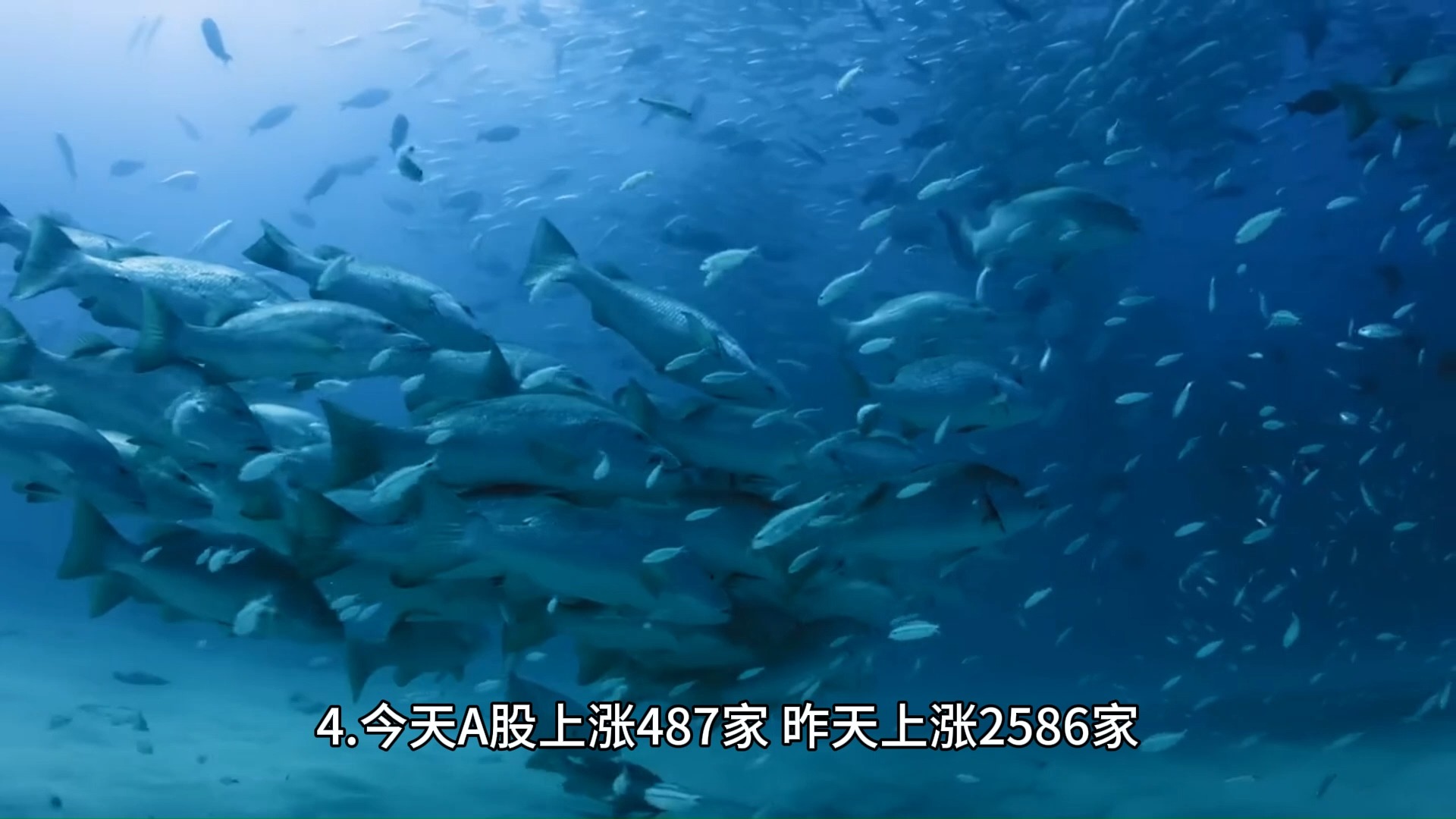 11月14日A股关键数据