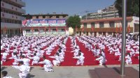 大型武术表演《五步拳》