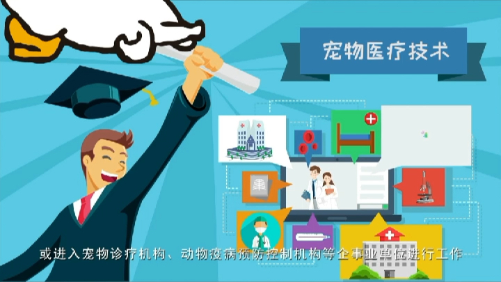 宠物医疗技术专业就业方向