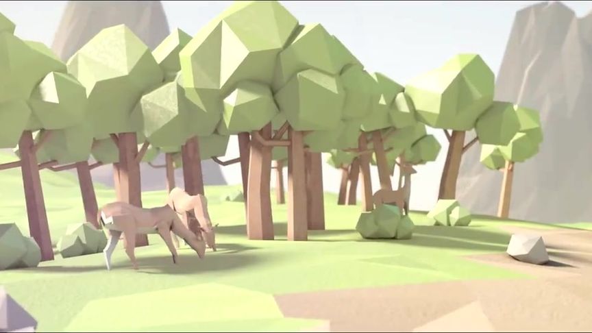 3D动画短片《野生动物在森林》