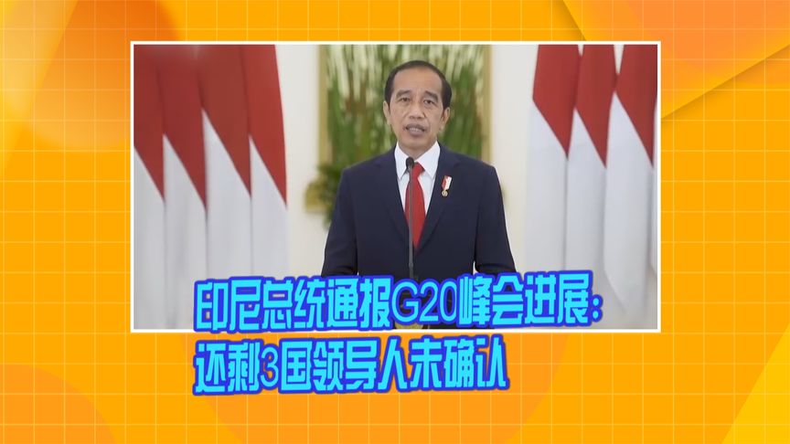 印尼总统通报G20峰会进展:还剩3国领导人未确认