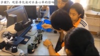 ...《模拟探究水污染对生物的影响以及生物的净化作用》福建_S12667...