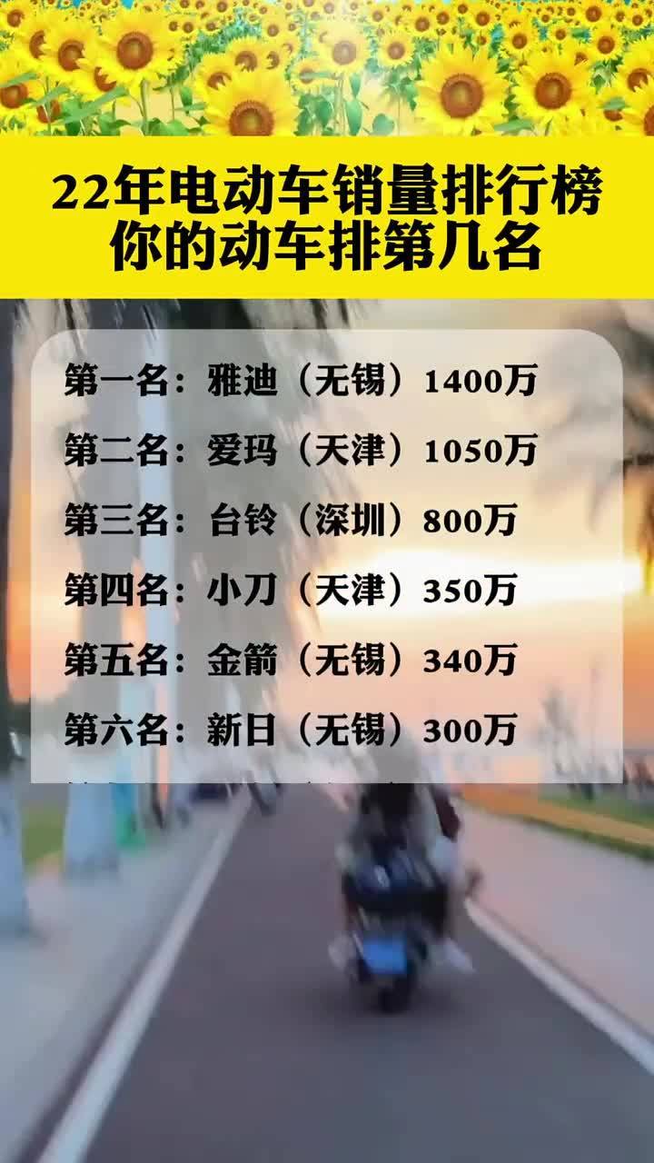 22年电动车,销量排行榜,你的电动车排第几名?