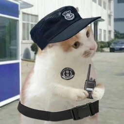 周慧芹 