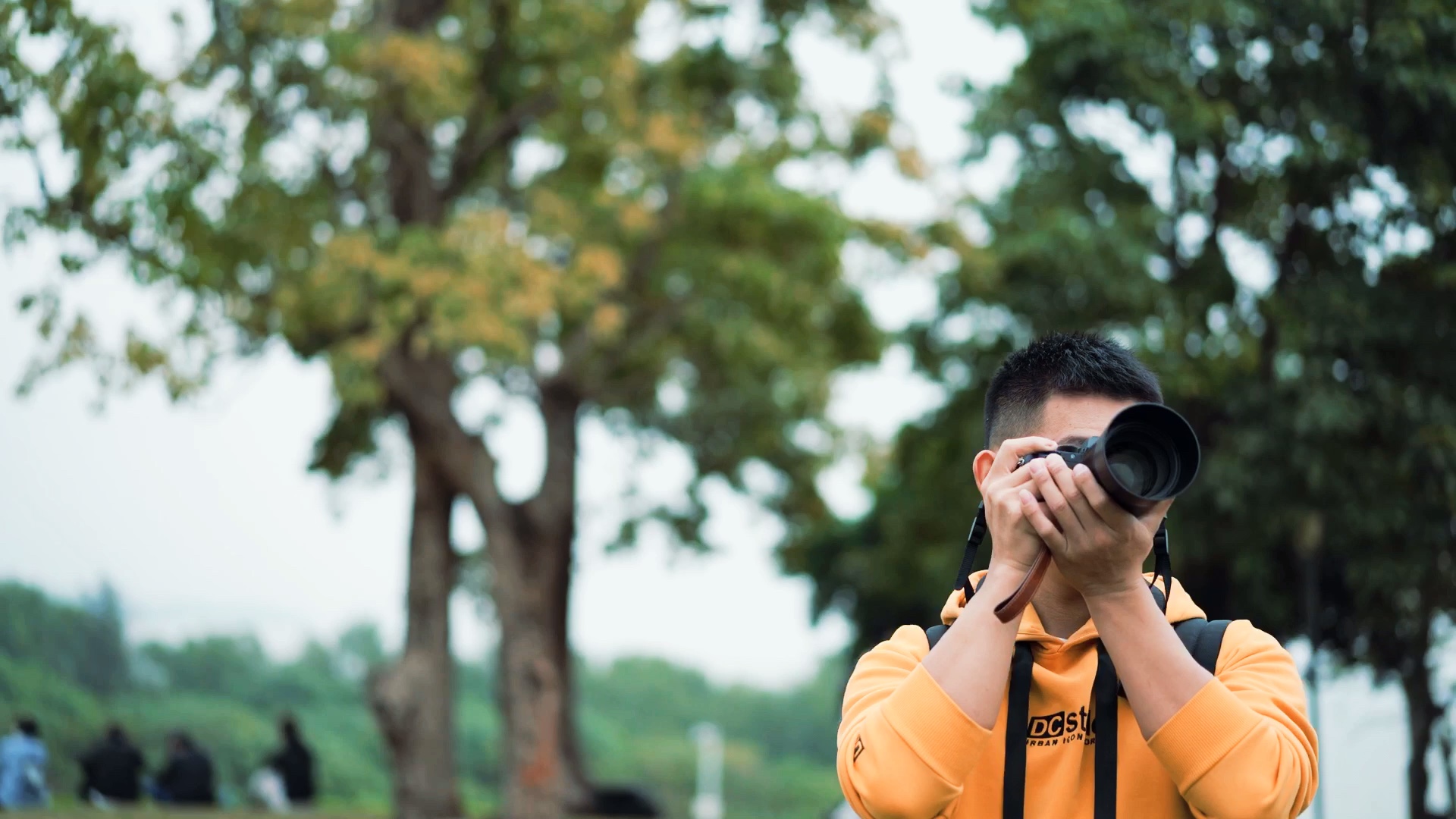 智云wbs稳定器搭载a7m3+55.18拍摄画面