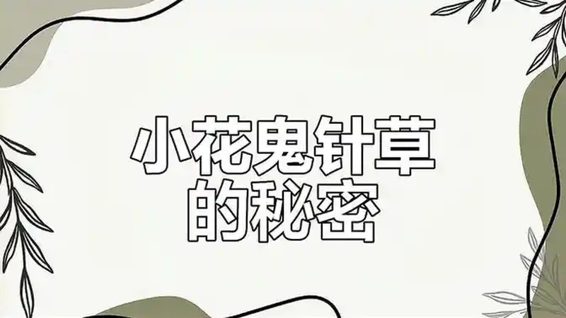 鬼针草如何借助动物传播种子揭秘小野花的生存策略
