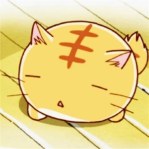 黄猫猫猫头 
