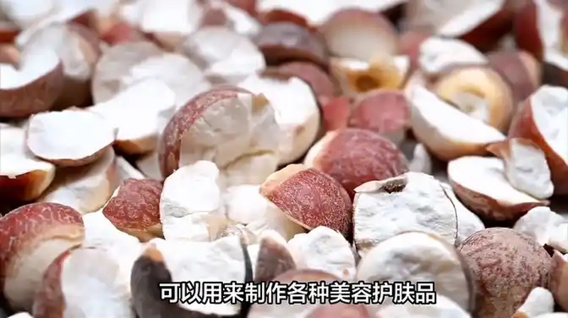 芡实是一种水生草本植物,它有哪些特点呢?