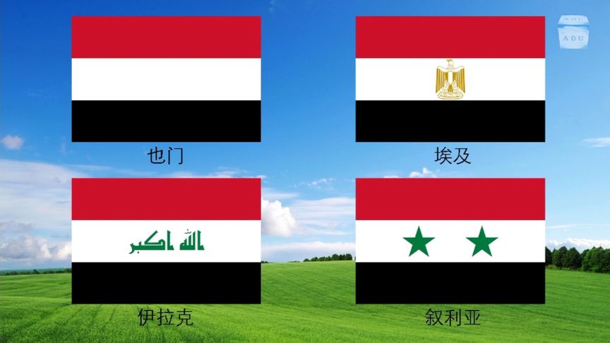 看过之后才知道,这些国家的国旗相似度极高
