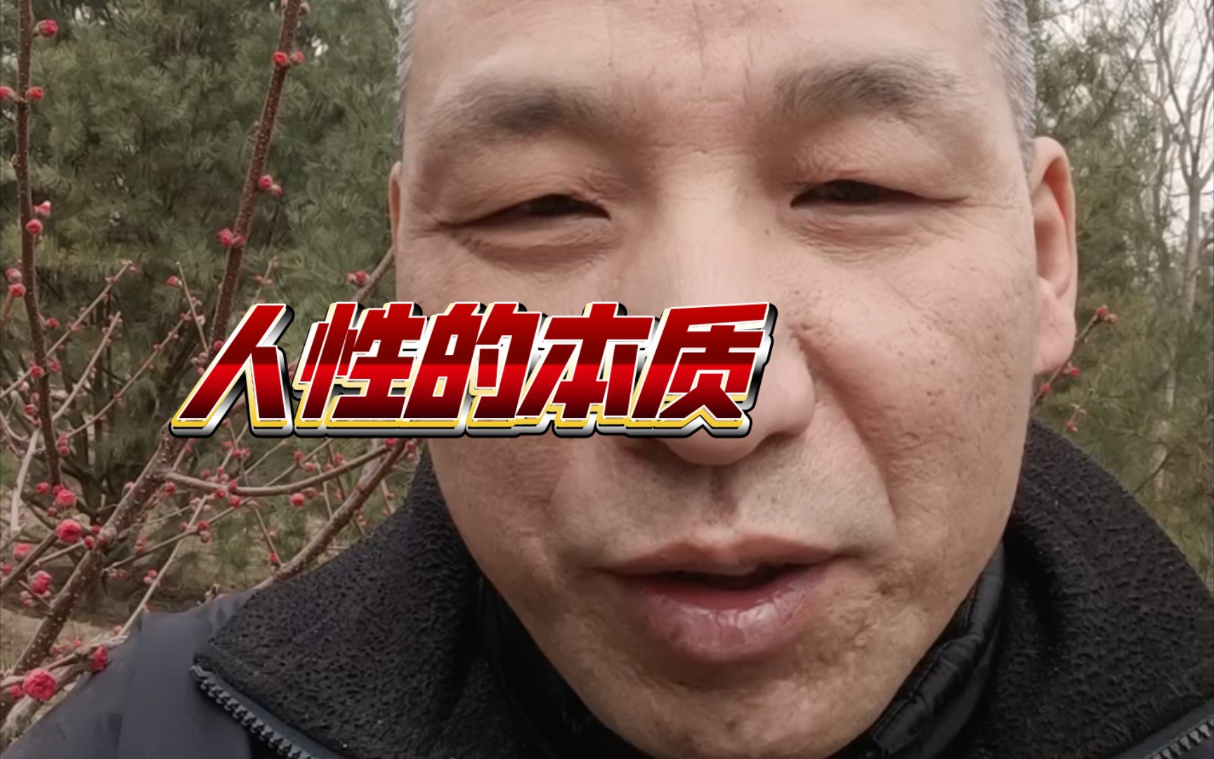 人性的本质趋利避害大脑运行原理交易唯一解是规则计划交易能力得来...