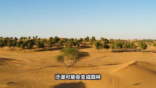 地球上的沙漠都变森林,会有什么样的后果?看完恐怕你都不信?