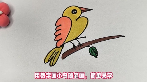儿童画小鸟怎么画简单又好看?用数字画小鸟简笔画