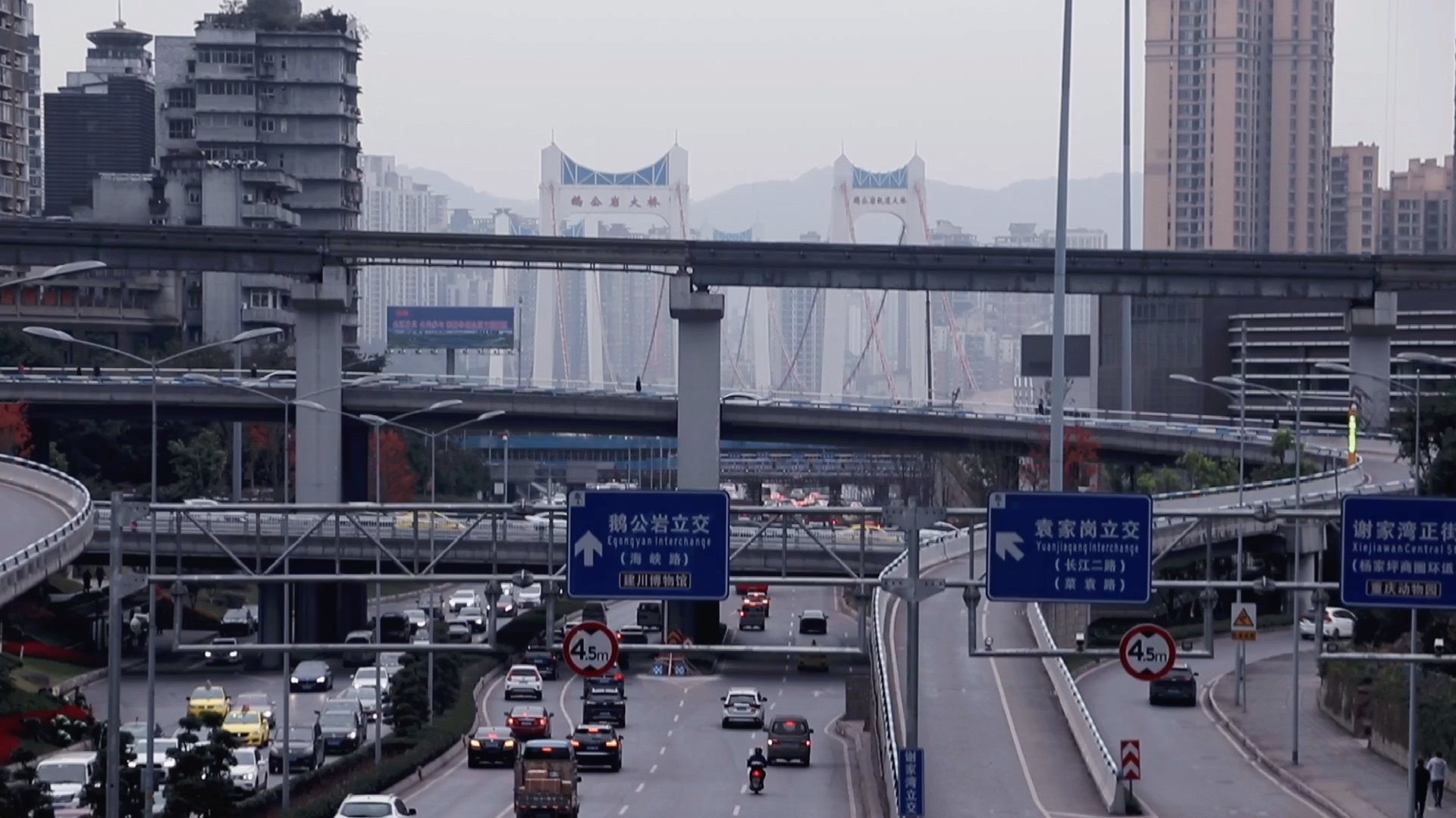 #重庆旅游##从你的全世界路过#跟风最近很火的重庆森林#拍摄地在...