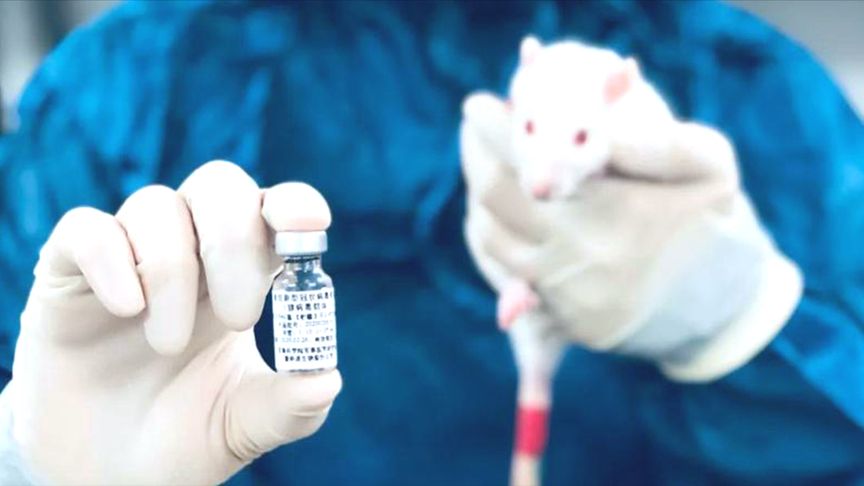 新冠疫苗动物实验结果曝光!中国领跑:安全有效、临床已有一个月