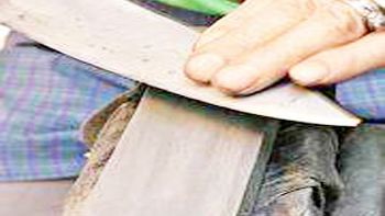 自从有了这个神器,磨刀不再是体力活