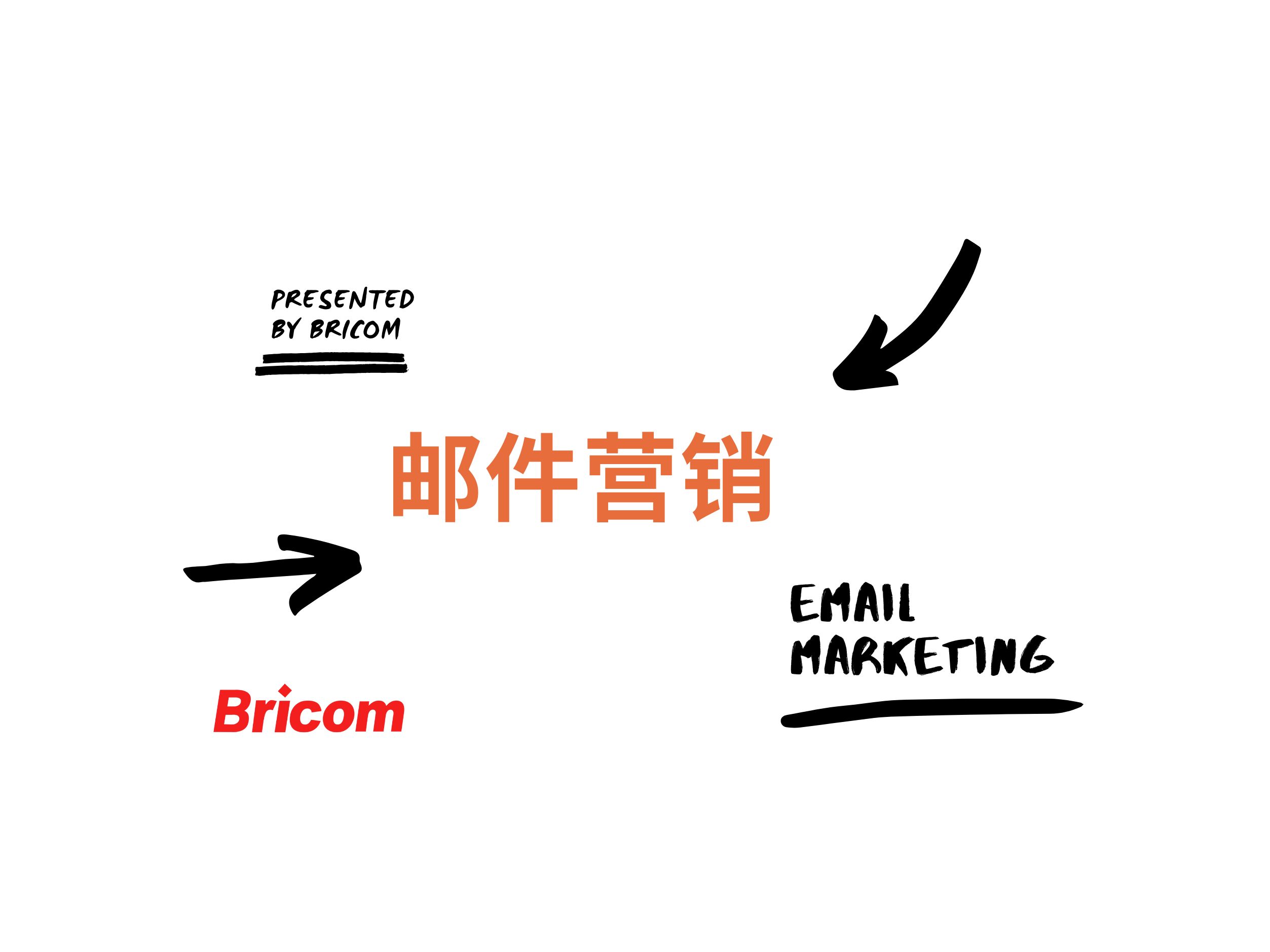 ߓ�如何做邮件营销:使用Bricom邮件营销体系全教程!电邮营销/海外...