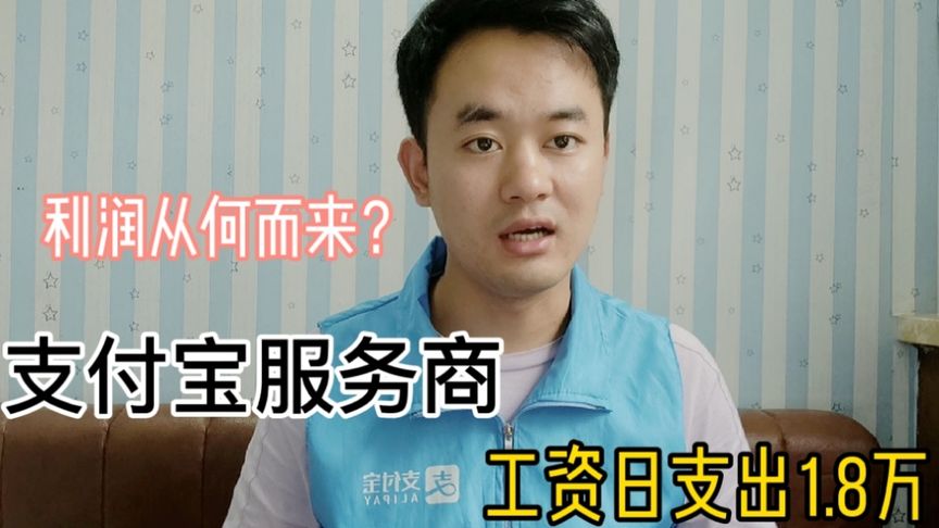 支付宝服务商工资日支出1.8万,一月支出54万,利润从何而来?