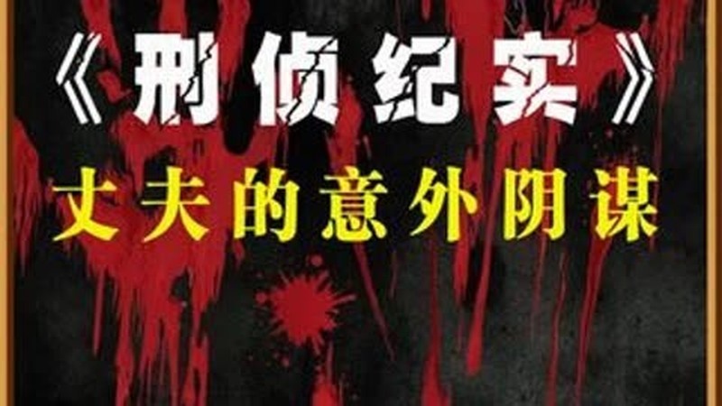 扑所迷离的车祸! 大案纪实 交通 交通安全 交通事故 交通出行