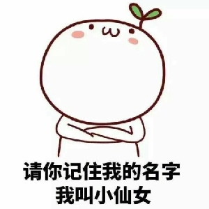 初中数学仙女张 