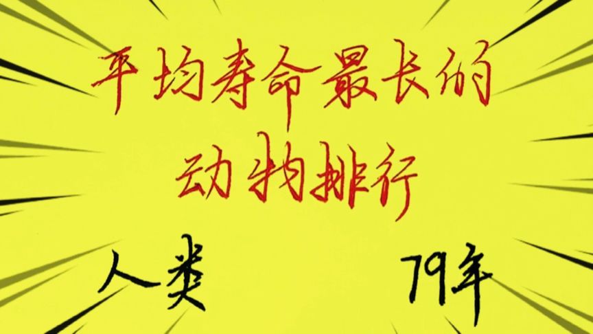 平均寿命最长的动物排行!