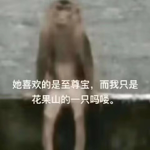 落魄的吗喽 