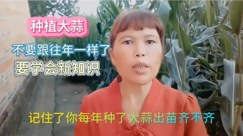 种植大蒜用了它出苗齐后期管理更轻松,中视频伙伴计划官号