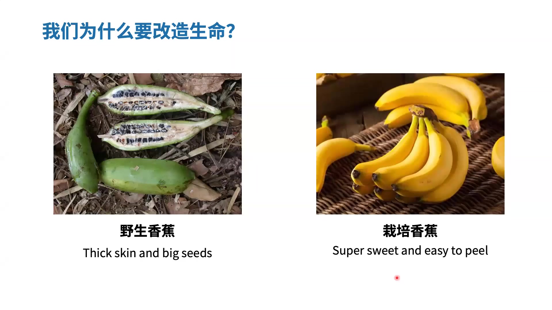 【讲座】改造生命如何改变世界 by张益豪 (706上海)