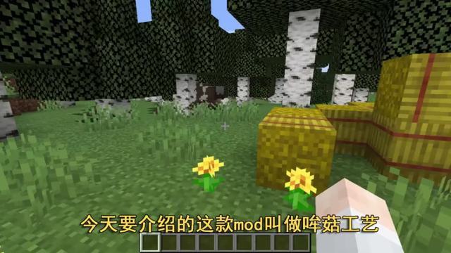 我的世界mod:用钻石煲的蘑菇汤你见过吗?家里有矿才喝得起