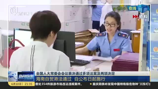 全国人大常委会会议表决通过多项法案及两项决定:海南自贸港法通过 ...
