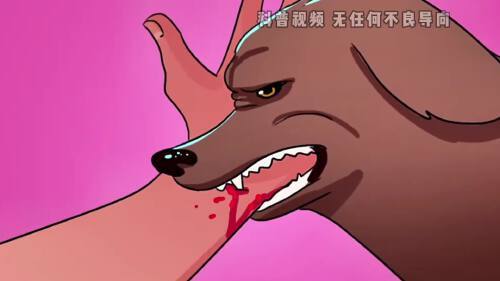 怎样防止被狗咬?教你几个小妙招