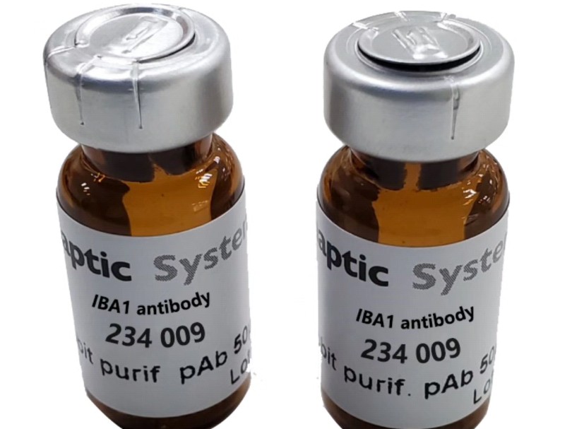 IBA1 抗体-234 009