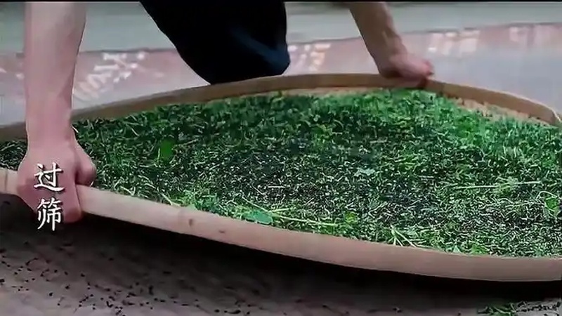 用蚕宝宝的粪便来制作枕头,你见过吗
