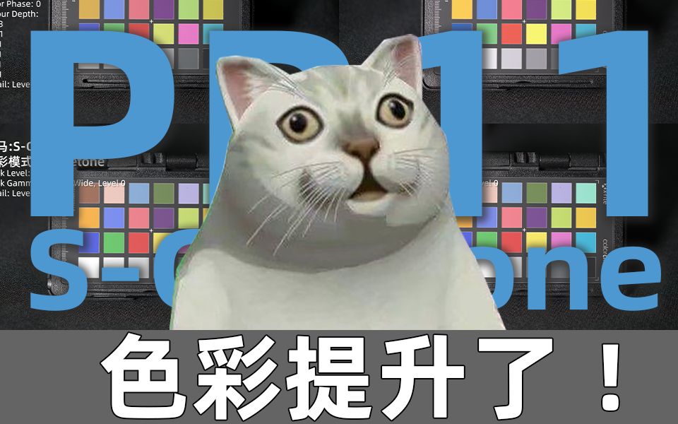...提升了!A7S3获得史诗级加强!S-Cinetone色彩对比测试,附送还原LUT