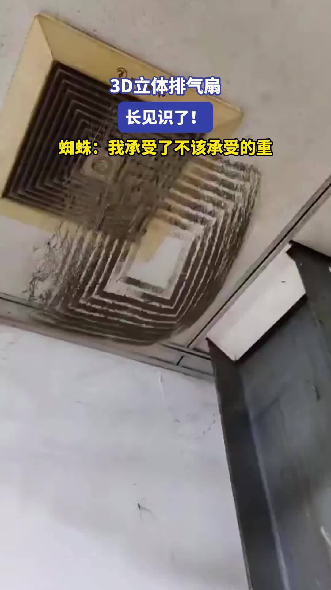 3D立体排气扇,长见识了!