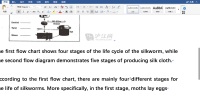 C6T3-flow chart