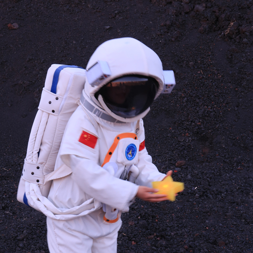 一只摘星星的鱼 