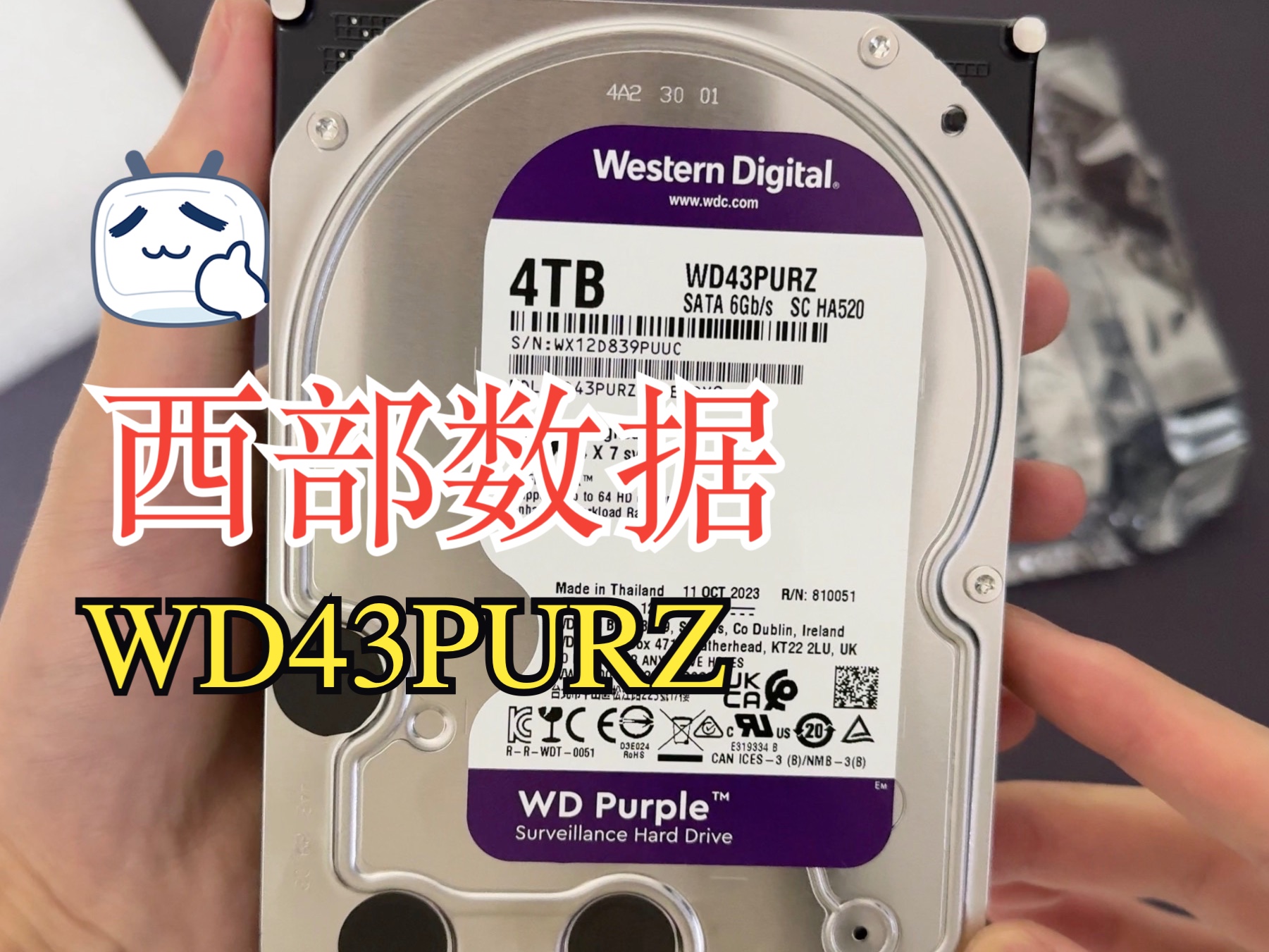 西部数据WD43PURZ