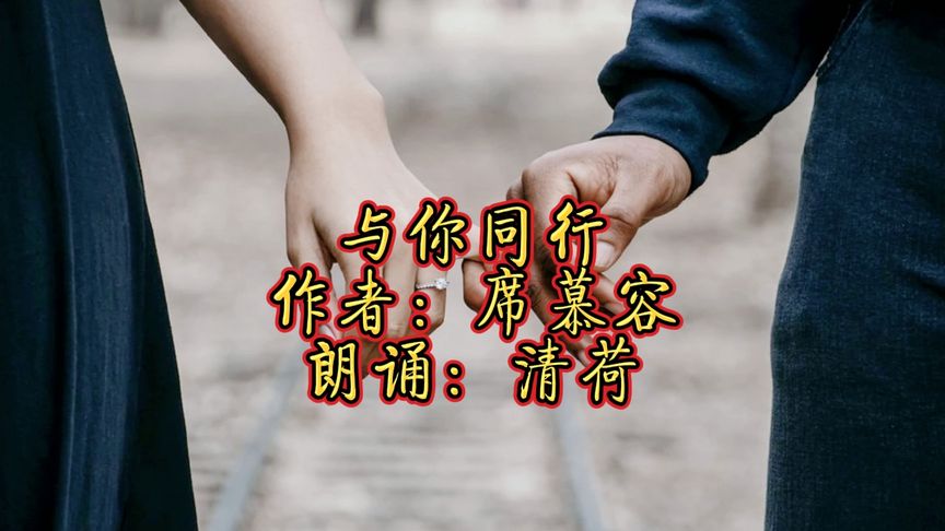 清荷朗诵|席慕容《与你同行》:任世间哪一条路我都不能与你同行