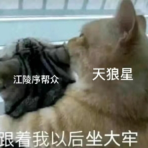 天狼丷 